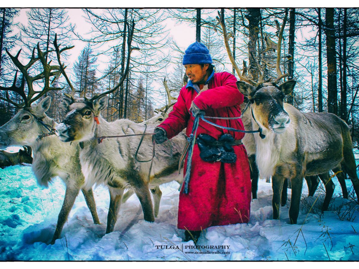 Foundation to help the Reindeer People - Nomadic Trails- Short Tours ...